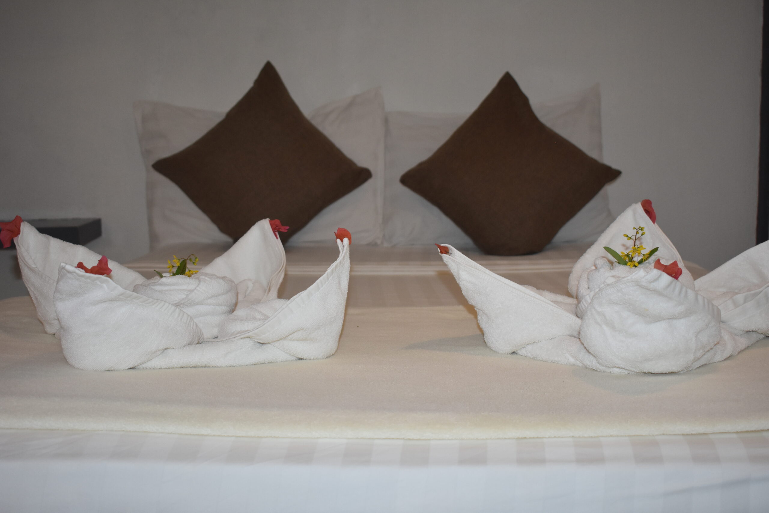 EL NIDO COCO RESORT - Official Page